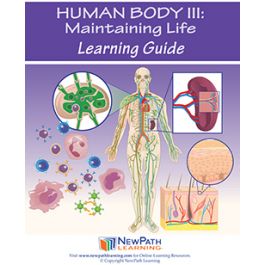 Human Body 3: Maintaining Life Student Learning Guide - Set of 10 For ...