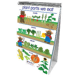 All About Plants Curriculum Mastery Flip Chart Set For Early Childhood