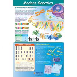 Modern Genetics Poster and Laminated | NewPath Learning