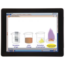 Chemical Reactions Multimedia Lesson - streaming Version
