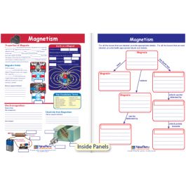 Magnetism Visual Learning Guide | NewPath Learning