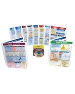 Math Curriculum Mastery Flip Chart Set For Grades 8 - 10 | NewPath Learning